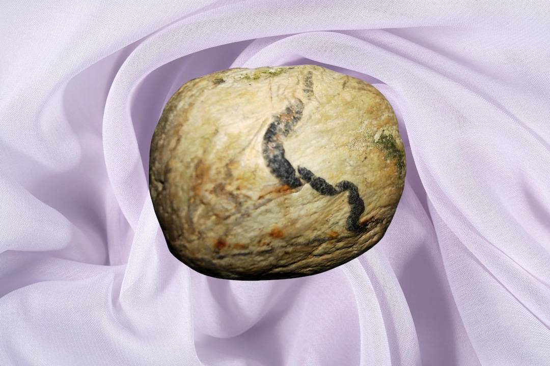Snake Stone – Power Stone of Transformation – Quartzite With Manganese ...
