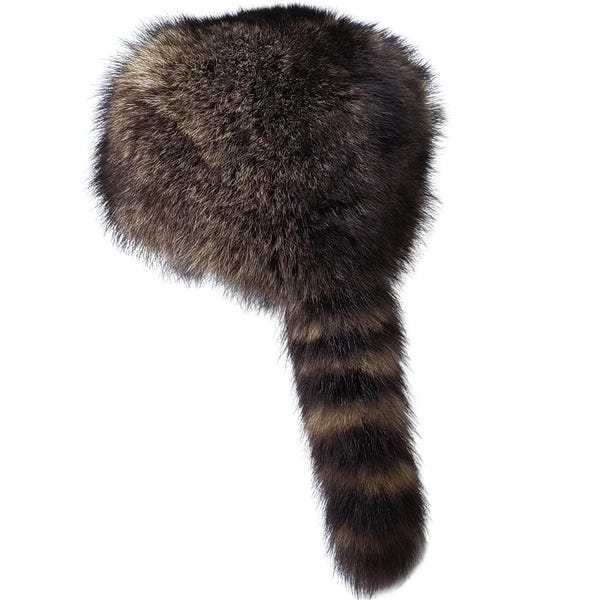 Real Coonskin Cap - Etsy