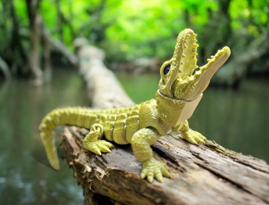 Realistic Baby Alligator Flexi Fidgets - Etsy