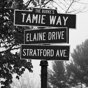 Intersection Love Road Sign Wedding Anniversary Couples Photography ...