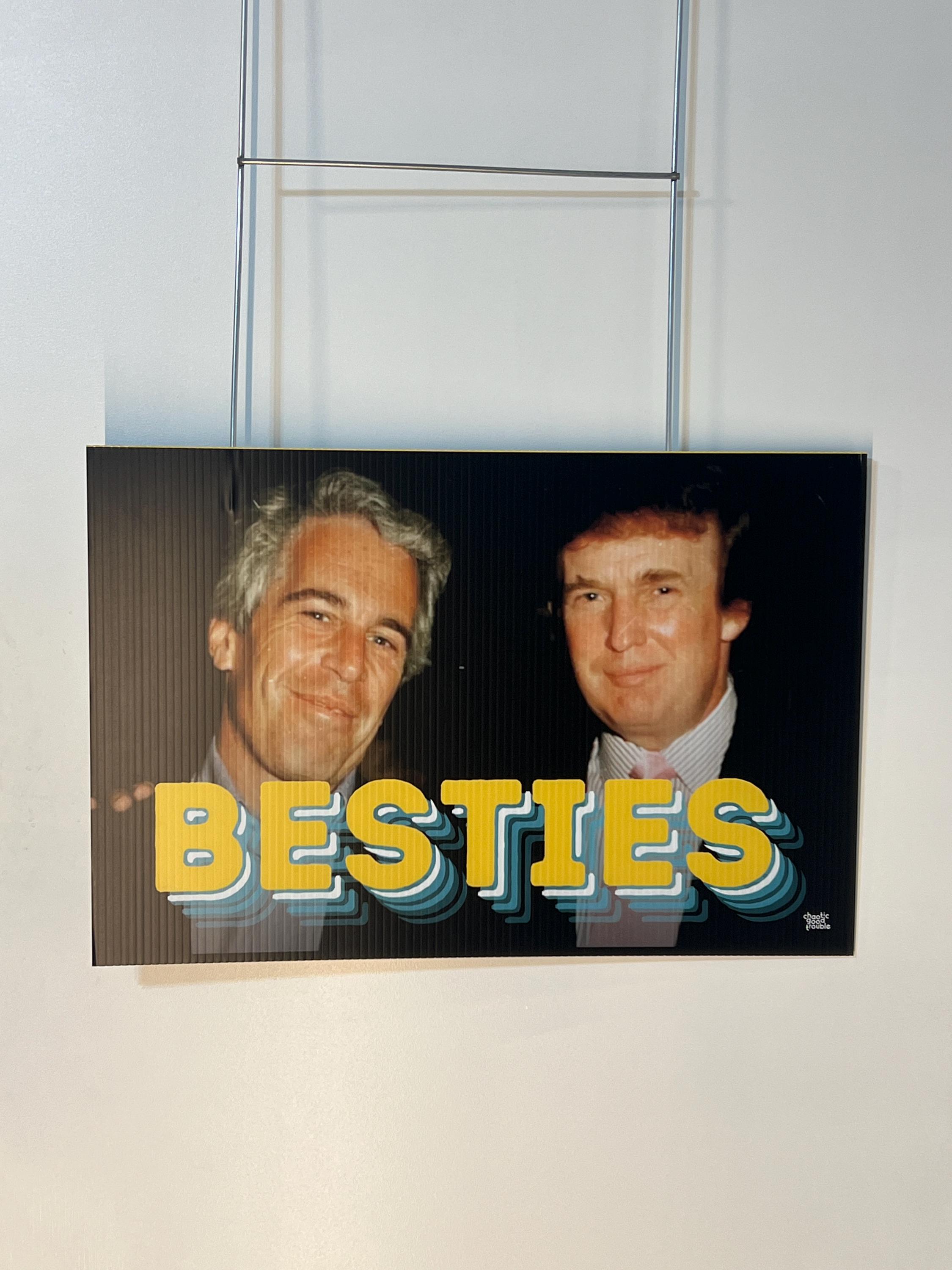 Epstein Trump BESTIES Yard Sign: Political Humor Protest Art - Etsy