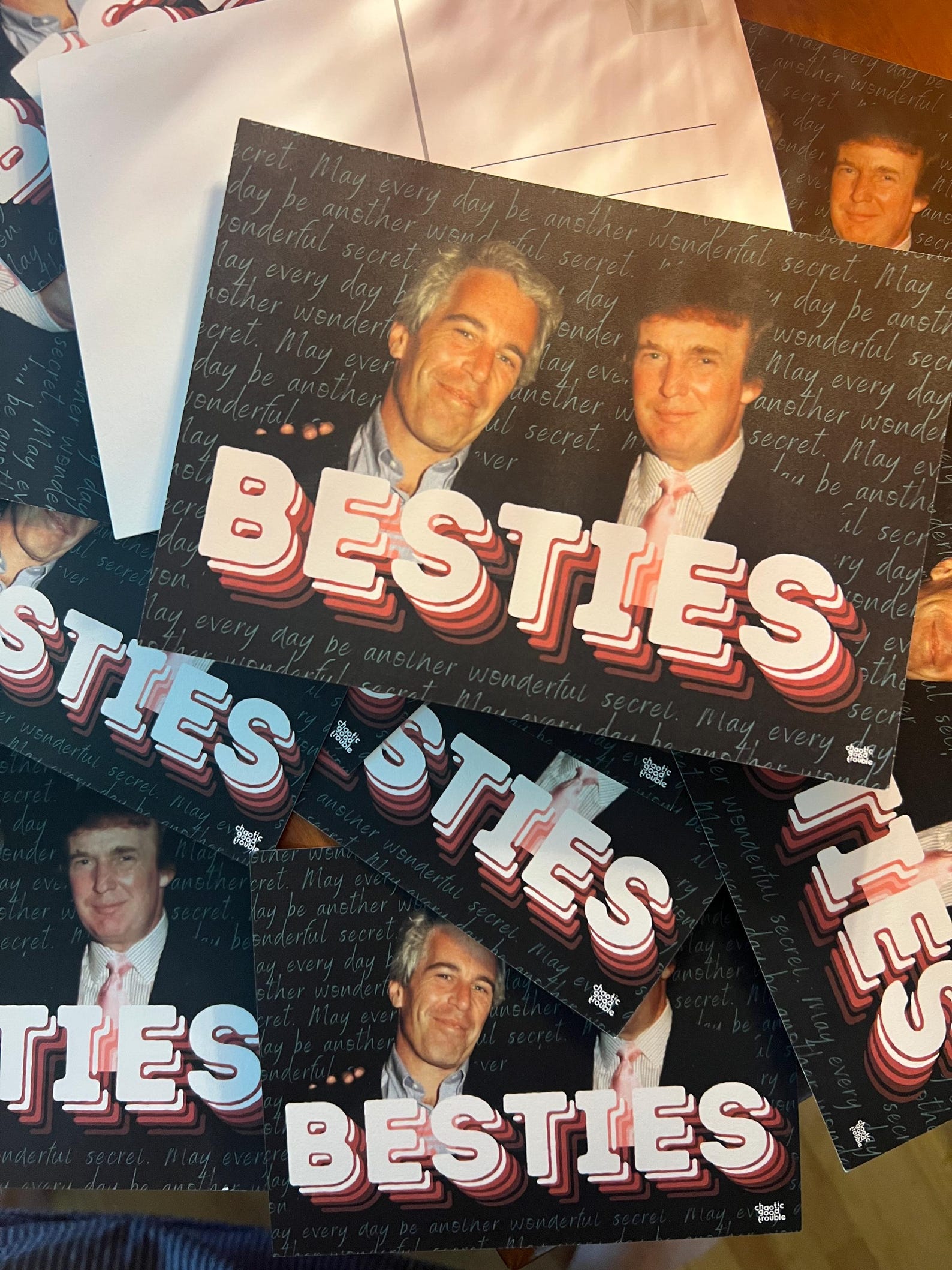 Trump & Epstein BESTIES Postcard Pack - Blank Postcards - Political ...