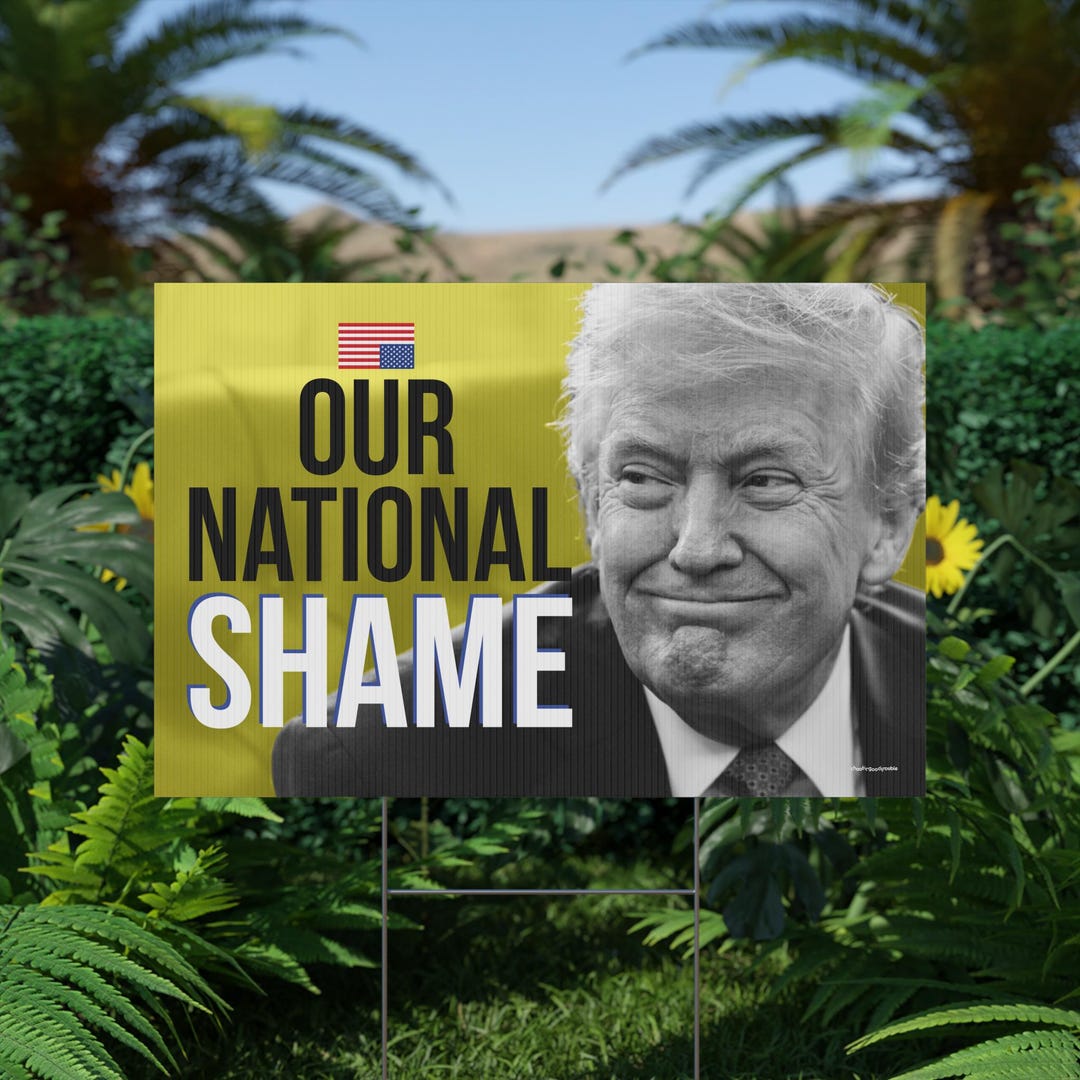 Our National Shame Plastic Yard Sign | Anti-trump Protest Sign for ...