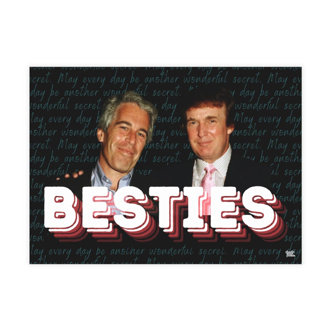 Trump & Epstein BESTIES Postcard Pack - Blank Postcards - Political ...