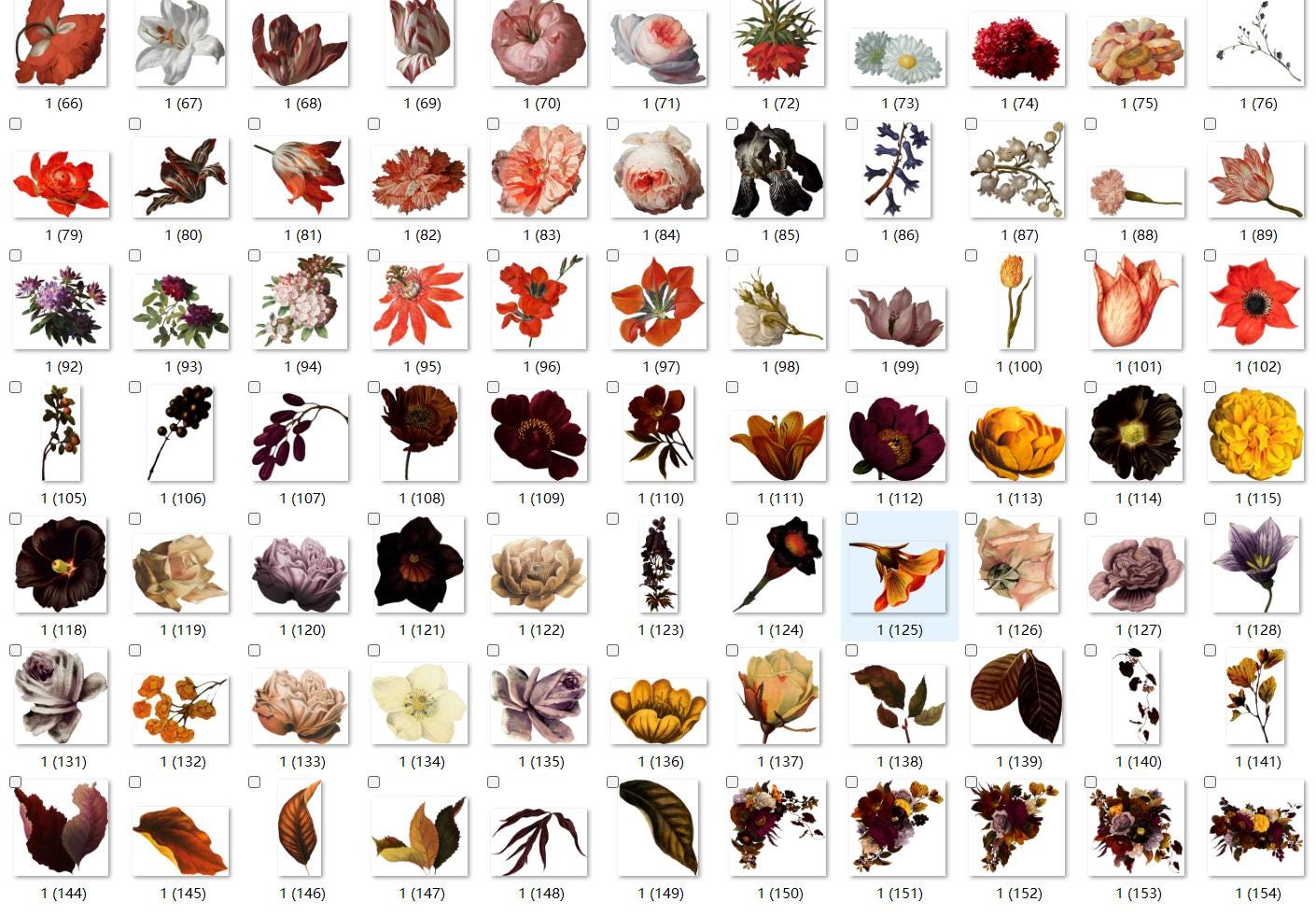 Real Flower Clip Art Wedding FLOWERS Realistic Floral Bundle Clipart ...