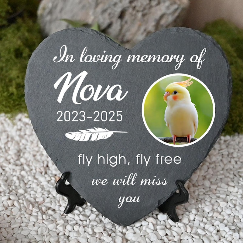 Bird Memorial - Etsy