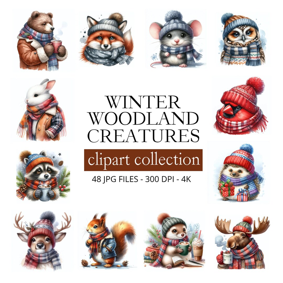 Watercolor Woodland Animals Clipart , Winter Clipart Bundle, Forest ...
