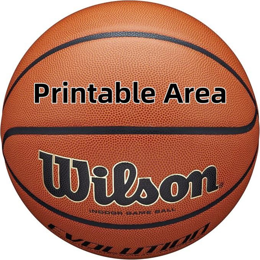 Wilson Evolution Indoor Game Ball 29.5 28.5 Laser Engraved Personalized ...