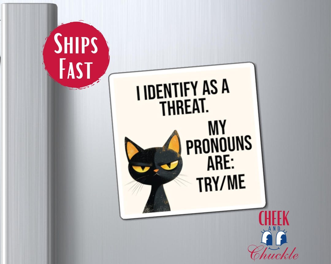 Sassy Cat Magnet Funny Kitchen Decor for Cat Lovers Dark Humor Quirky ...