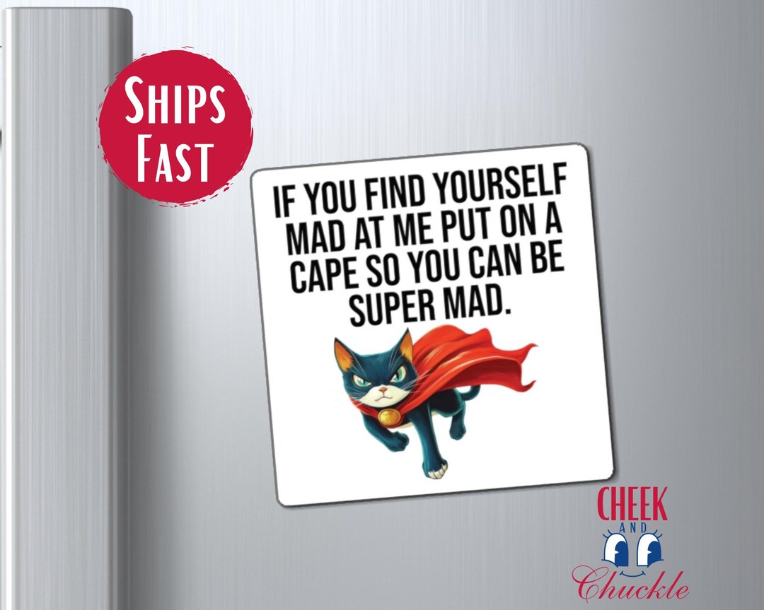Funny Super Mad Cat Magnet Superhero Lovers Gifts Punny Refrigerator ...