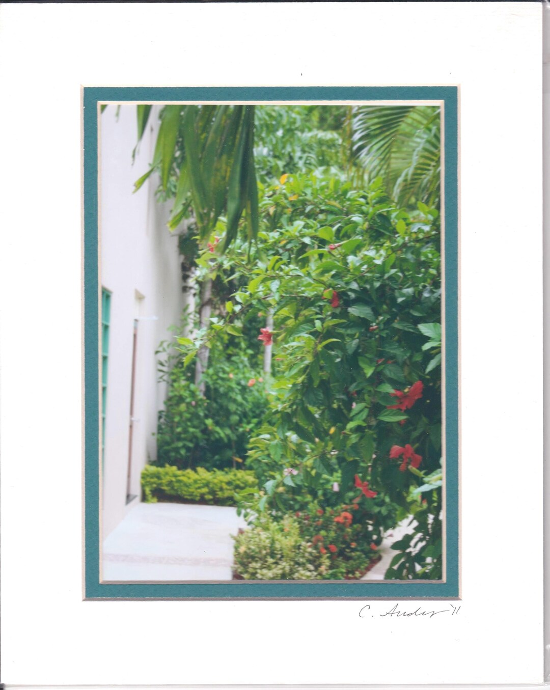Photograph Jamaican Garden Path Original Artwork - Etsy