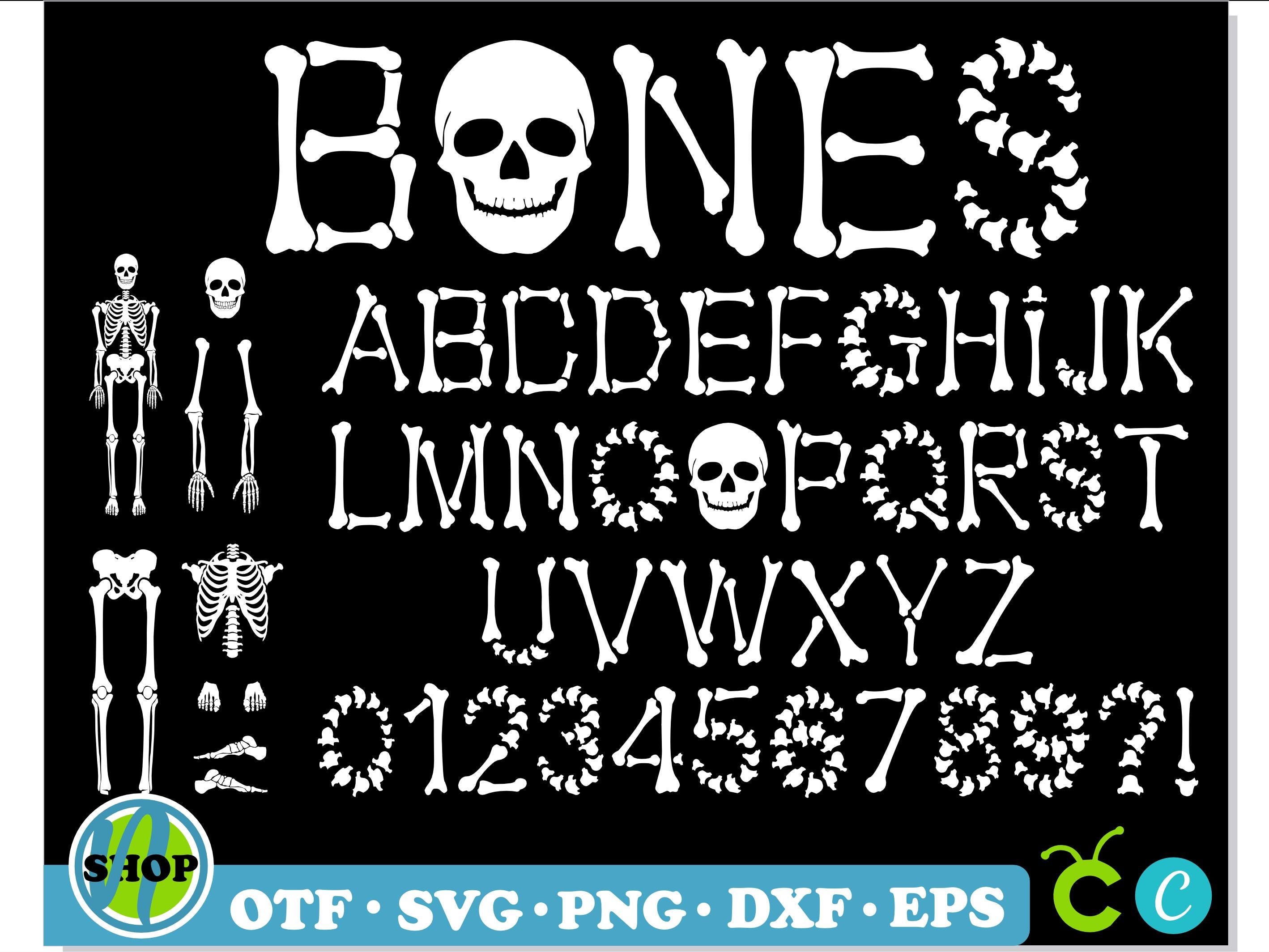 Bones Font OTF, Bones Font Svg, Skeleton Parts Svg, Skeleton Bones Svg ...