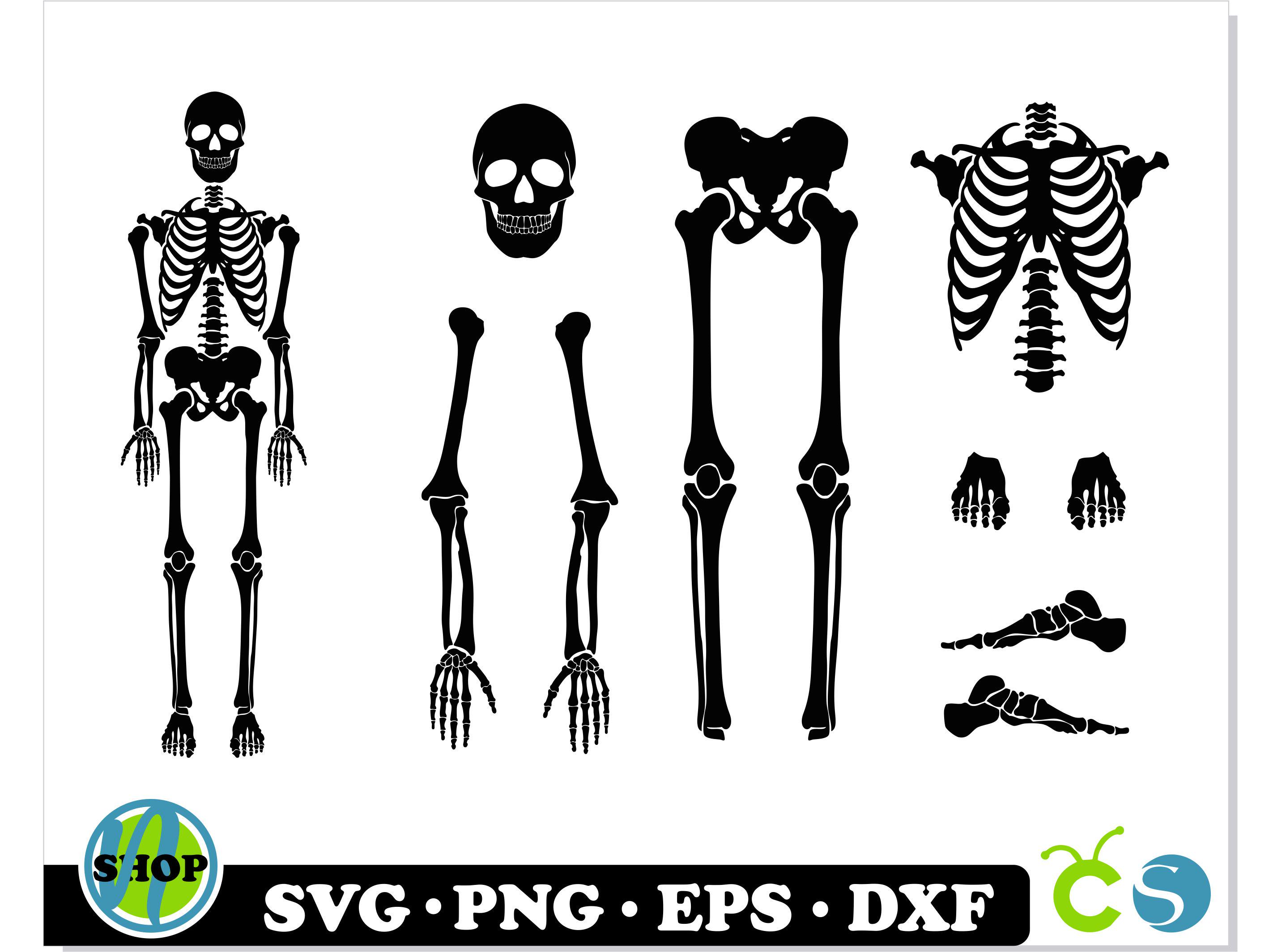 Skeleton Parts SVG, Skeleton Svg, Skeleton Bones Parts Svg, Halloween ...