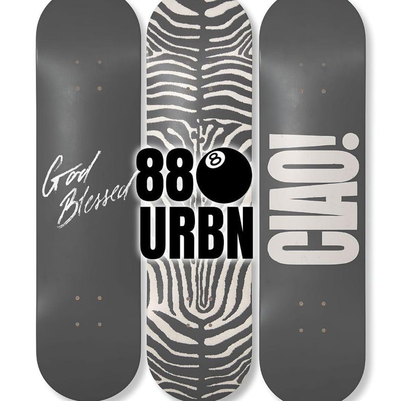 Trendy Y2k Zebra Skateboard Print Digital Download, Black and White ...