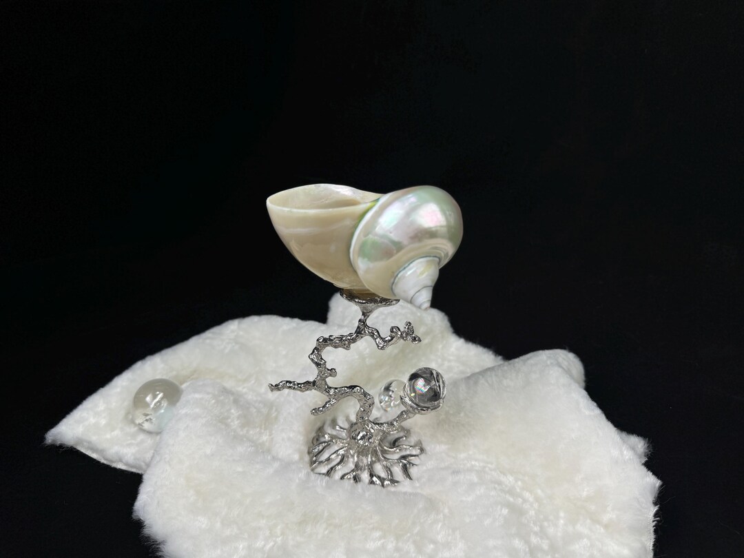 Conch Cups, Handmade Culinary Dessert Shell Goblets, Customized ...