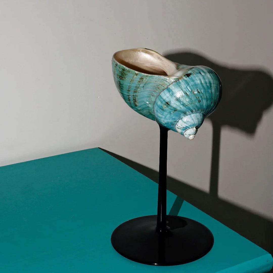 Natural Conch Mugs, Handmade Shell Mugs, Unique Conch Mugs, Martini ...