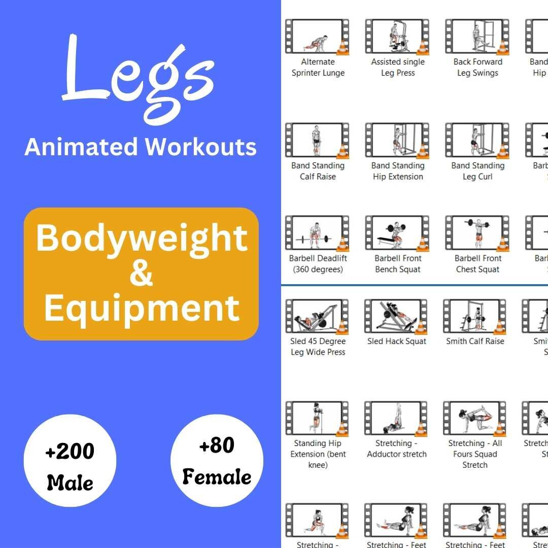 280 Leg Animation Exercises Male & Female All Leg Muscles Covered Fitness Creator Toolkit - Etsy
