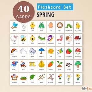 Spring Flashcards: 40 Printable Nature Cards, Montessori Homeschool ...