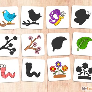 Spring Shadow Matching Cards, Spring Matching Game, Spring Preschool ...
