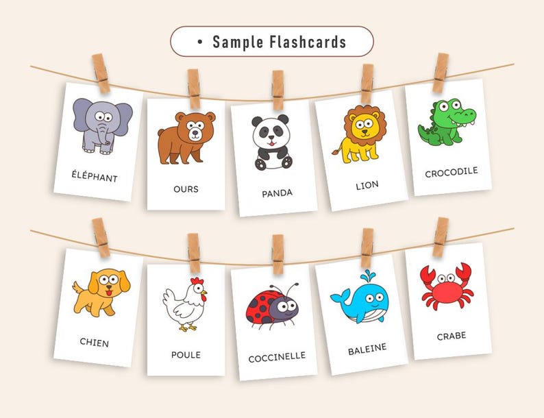 French Flashcard Bundle for Kids & Toddlers, Alphabet, Numbers, Colors ...