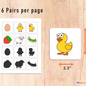 Spring Shadow Matching Cards, Spring Matching Game, Spring Preschool ...