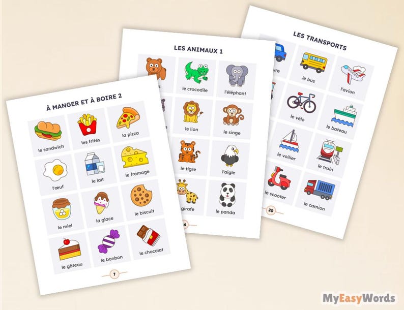 Printable French Picture Dictionary for Kids, Digital French Vocabulary ...