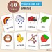 Spring Shadow Matching Cards, Spring Matching Game, Spring Preschool ...