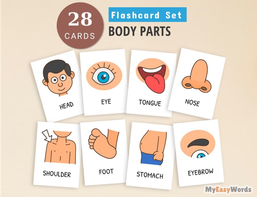 Body Parts Flashcards: Montessori Homeschool Cards (PDF) - Etsy