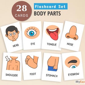 Body Parts Flashcards: Montessori Homeschool Cards (PDF) - Etsy