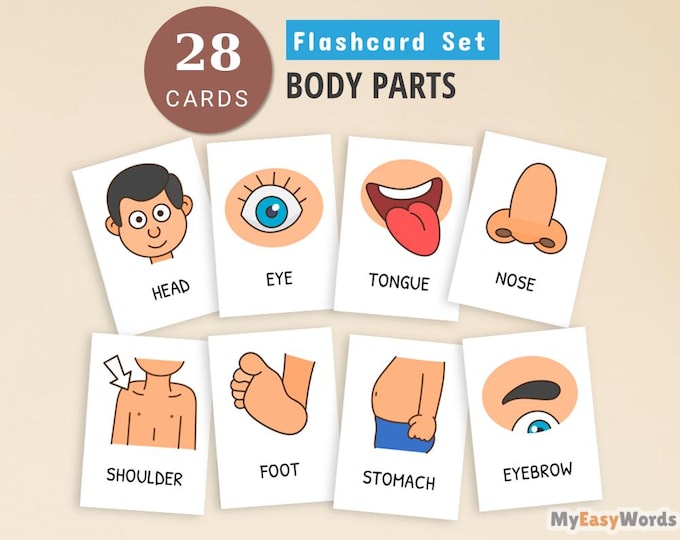 Body Parts Printable, Printable Body Parts Flash Cards, Body Parts ...