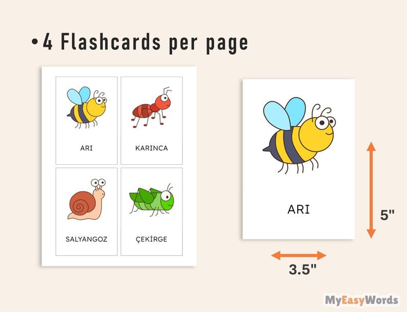 Turkish Flashcard Bundle for Kids & Toddlers, Alphabet, Numbers, Colors ...