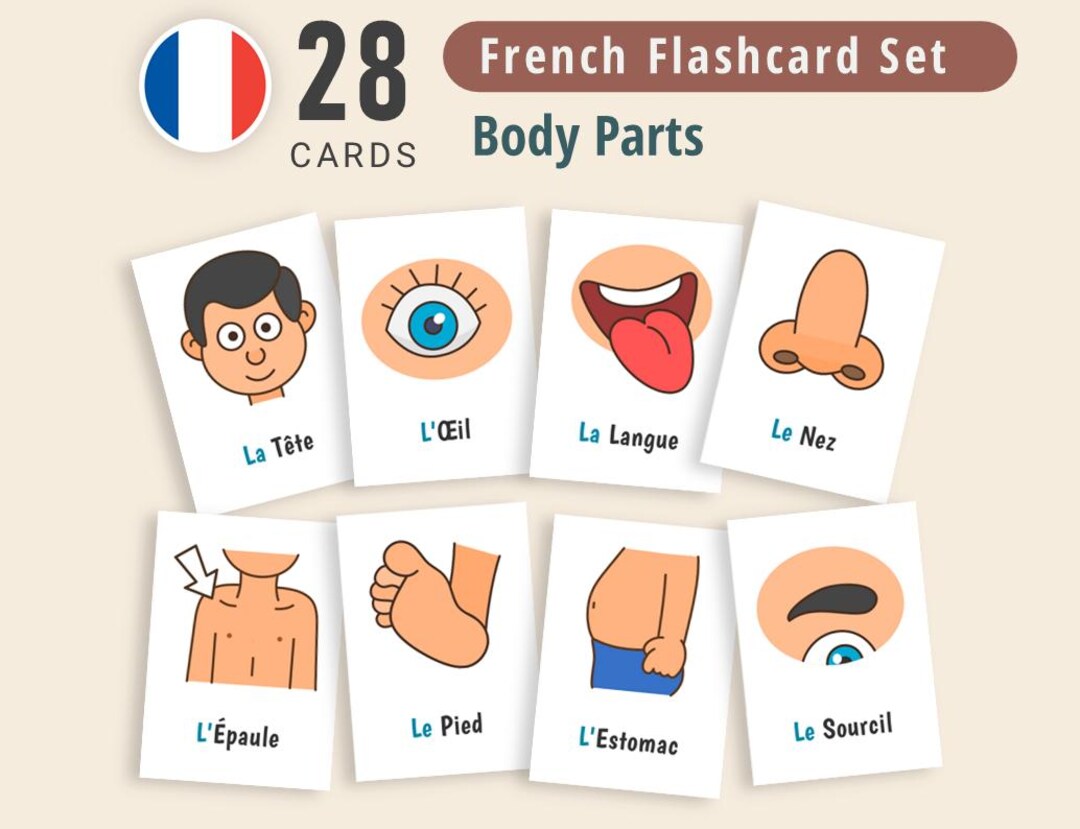 French Body Part Flashcards, Printable Toddlers Flash Cards, Homeschool ...