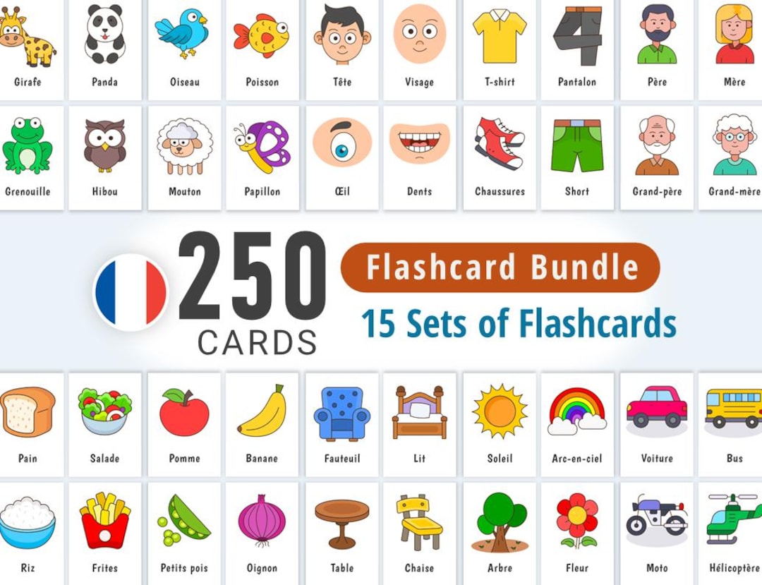 Flashcards Français Pour Enfants – 250 Cartes Thématiques Montessori ...