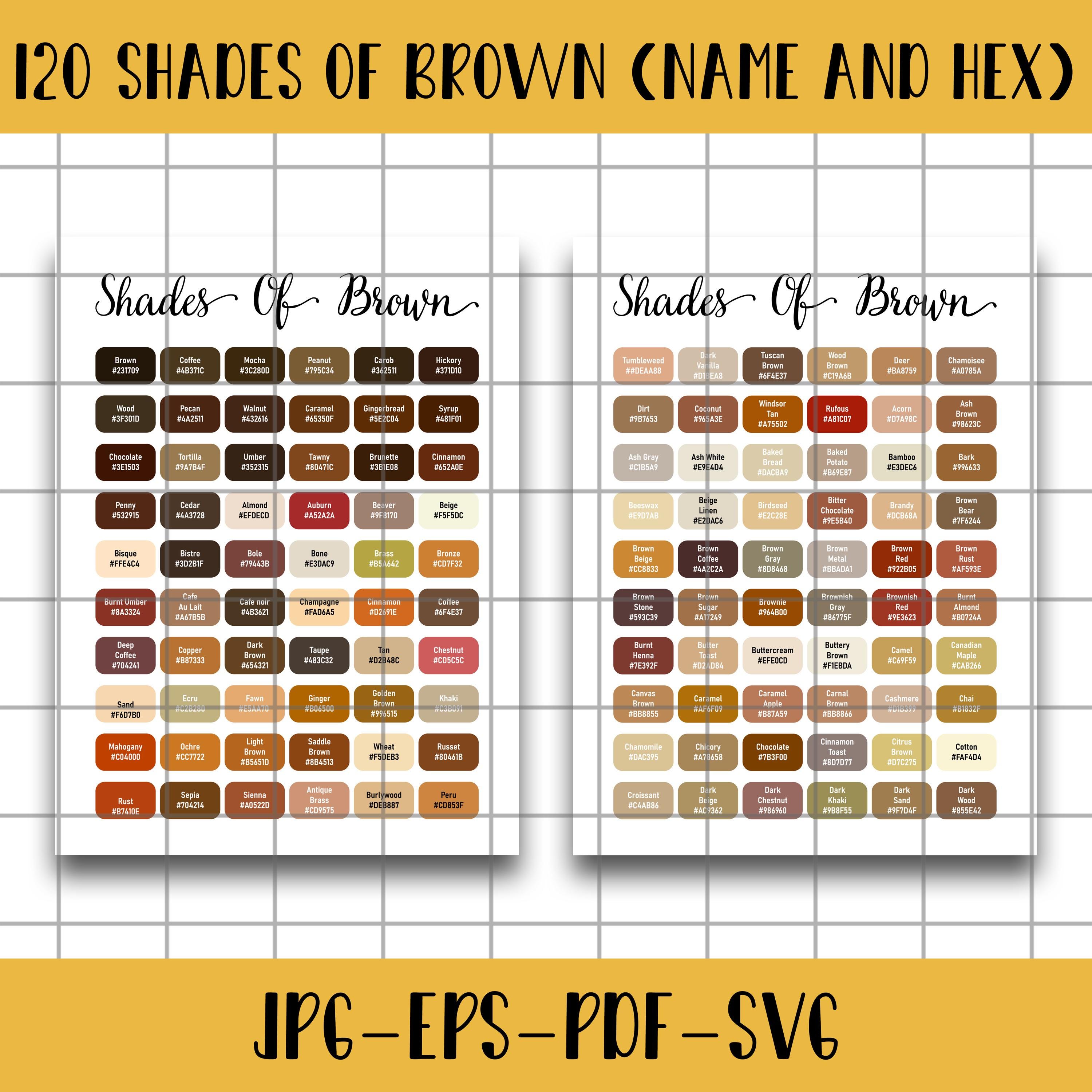 120 Color Names and Shades, Brown Color Hex Name PNG, Shades of Brown ...