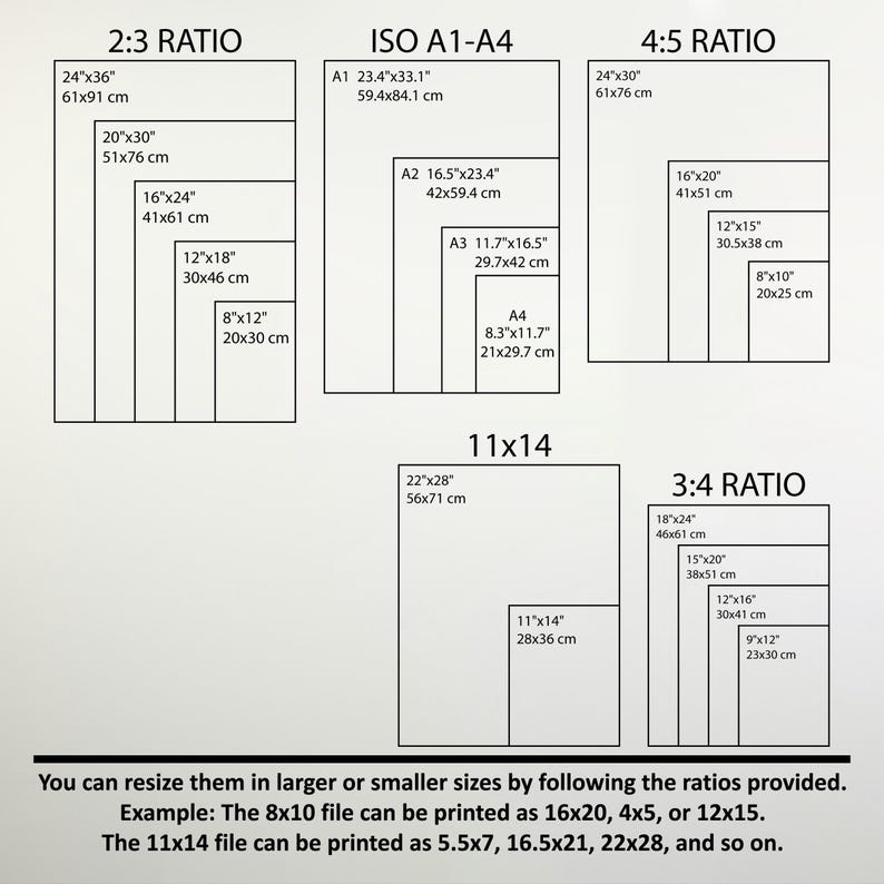 Senior 2026 Basketball Photo Collage Template, Basketball Picture, 2026 ...