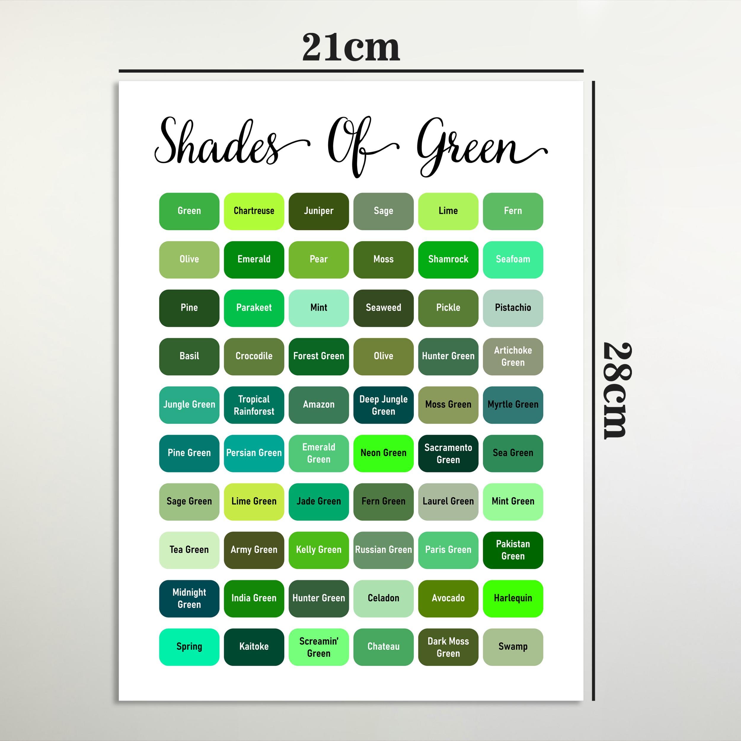 120 Color Names and Shades, Green Color Hex Name PNG, Shades of Green ...
