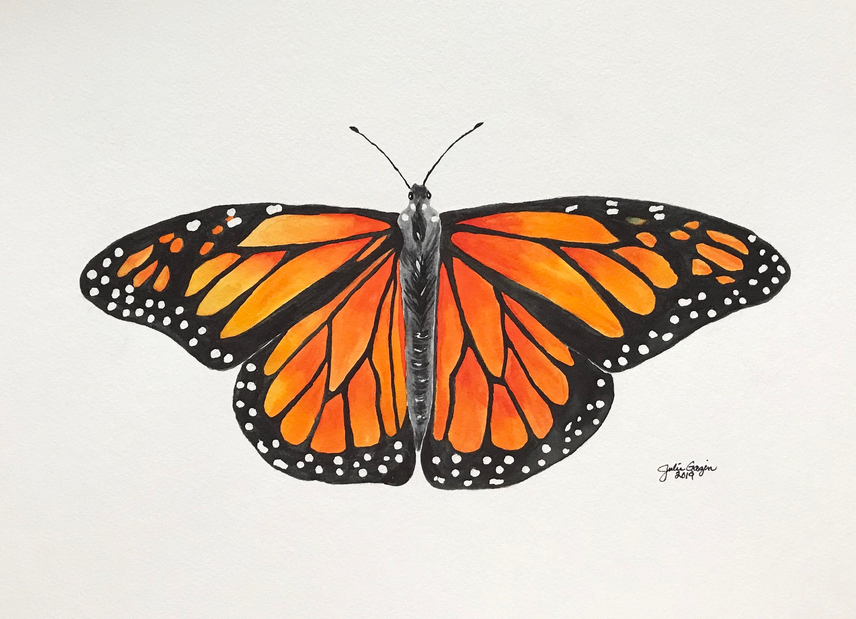 Monarch Butterfly Artwork, Butterfly Watercolor, Butterfly, Original ...