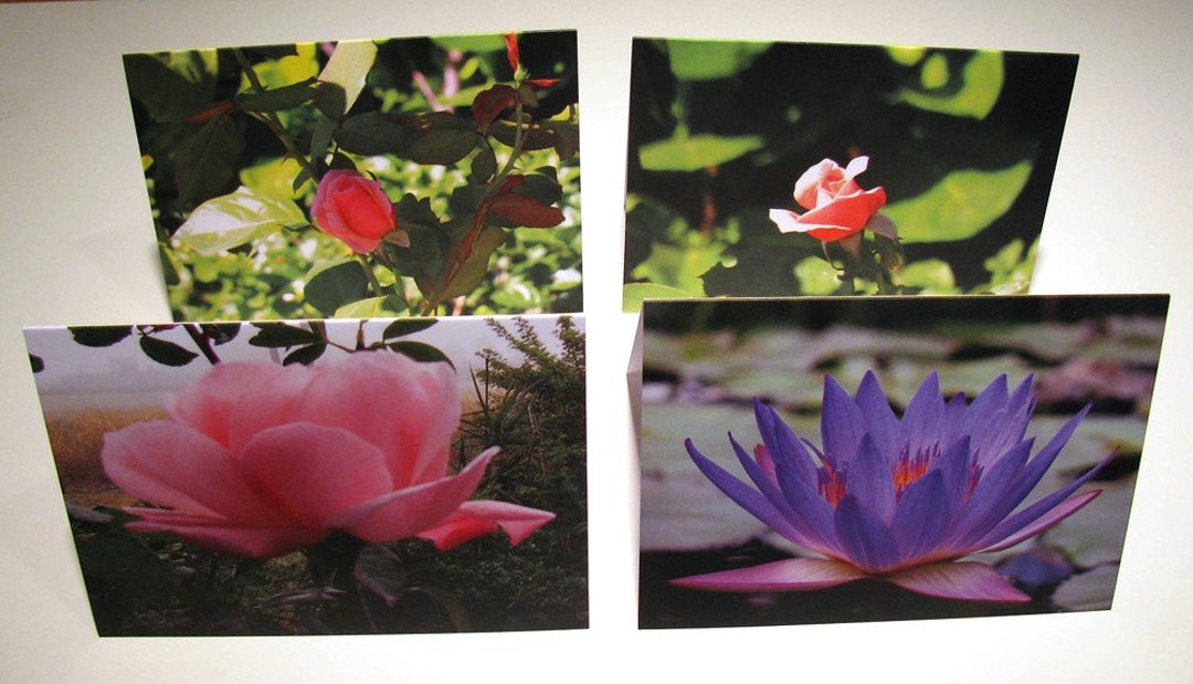 Photo Print Card Set Art Photo Cards Art Greeting Cards Art - Etsy