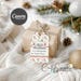 Editable Gift Tag Canva Template Christmas Label or Sticker Holiday ...