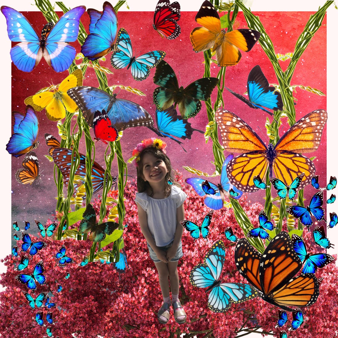 Custom Art, Collage, Portraits, Personalized Collages, Photo Collages ...