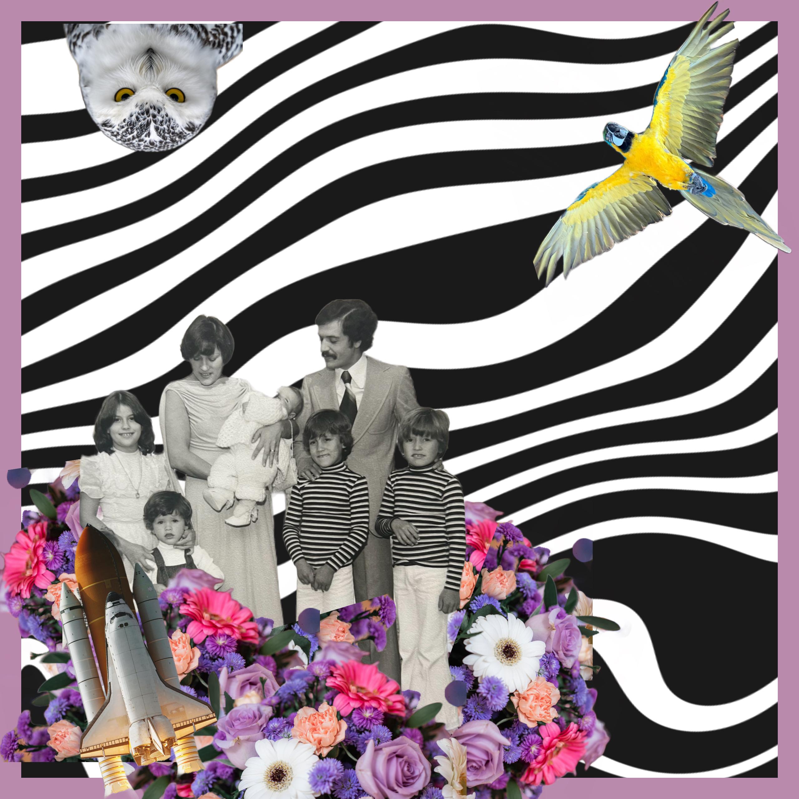 Custom Art, Collage, Portraits, Personalized Collages, Photo Collages ...