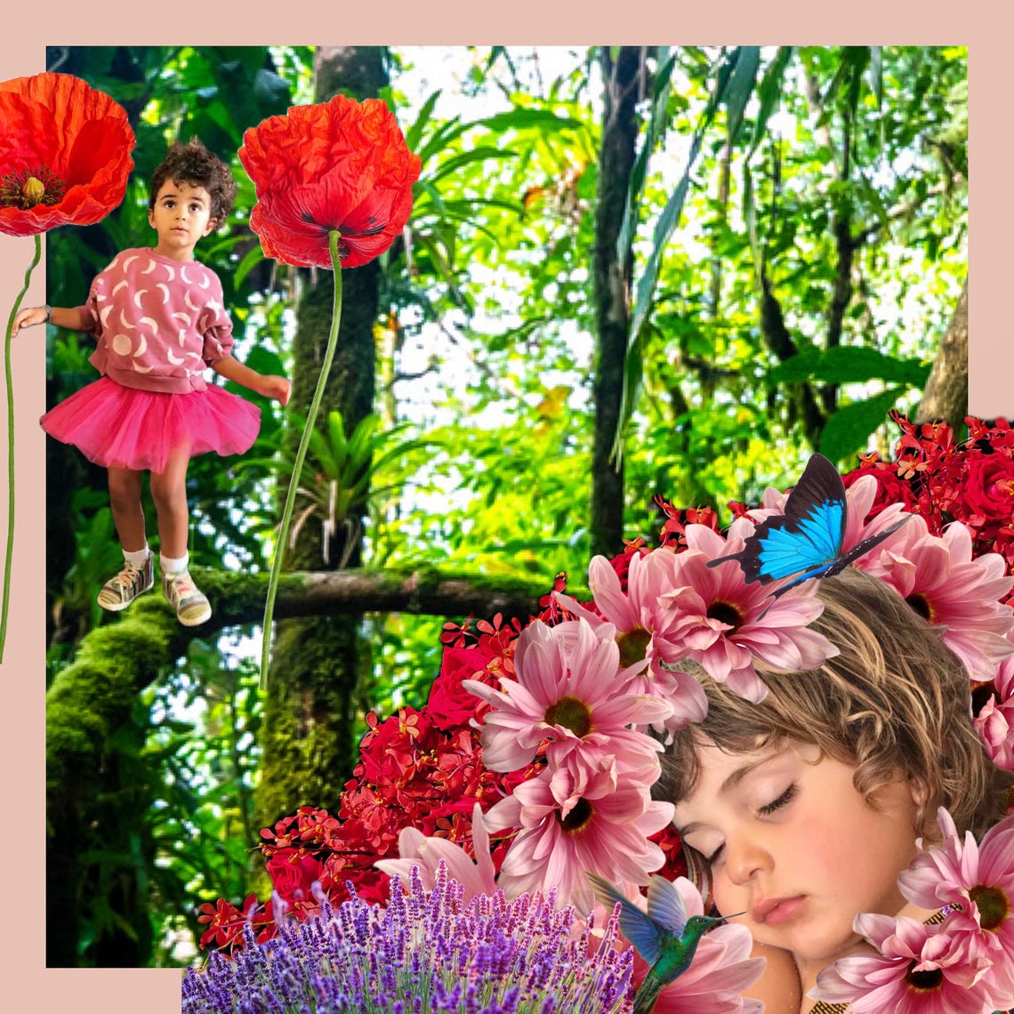 Custom Art, Collage, Portraits, Personalized Collages, Photo Collages ...