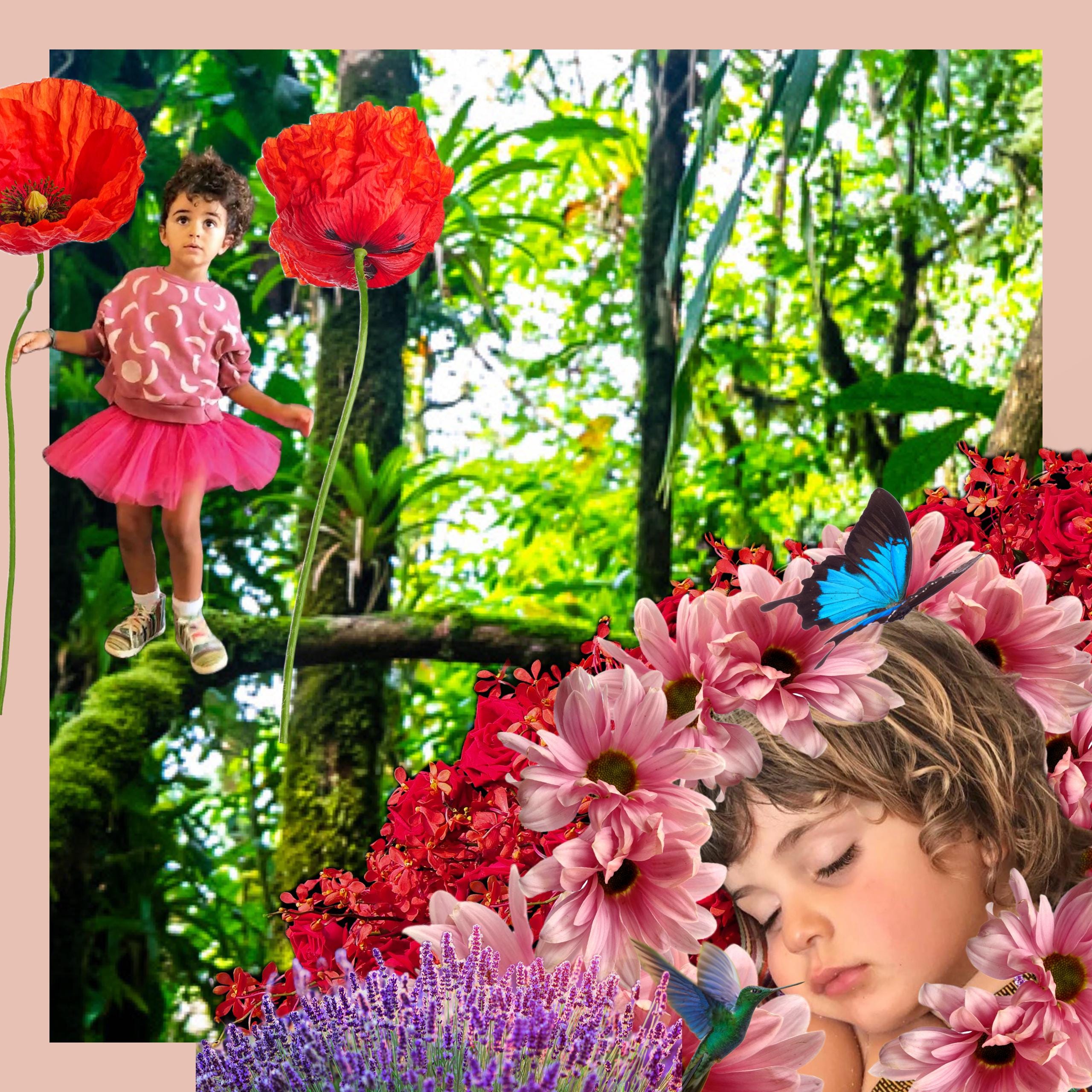 Custom Art, Collage, Portraits, Personalized Collages, Photo Collages ...