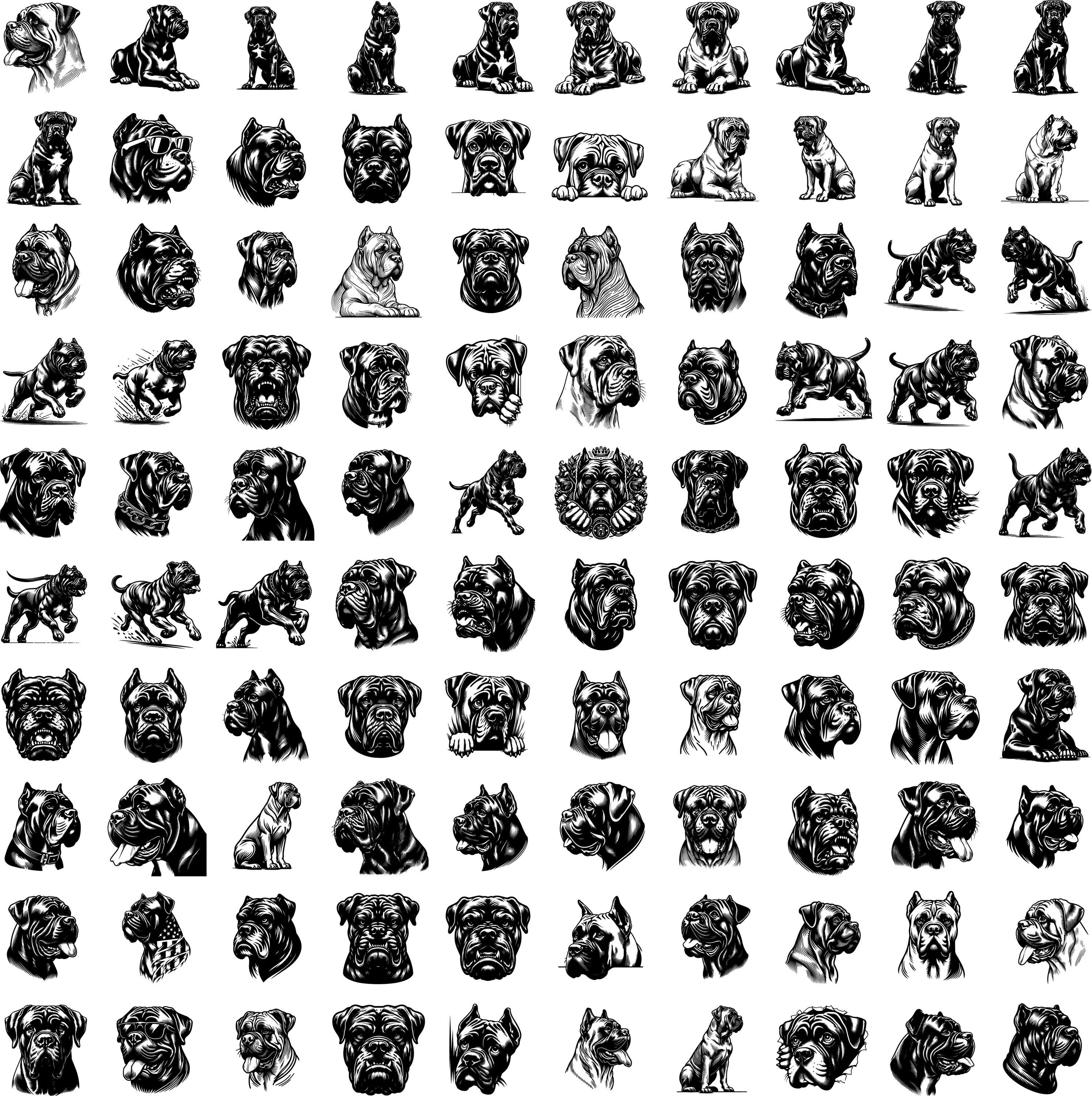 Cane Corso SVG PNG Bundle | 100 Cane Corso Dog Clipart Files | Cane ...