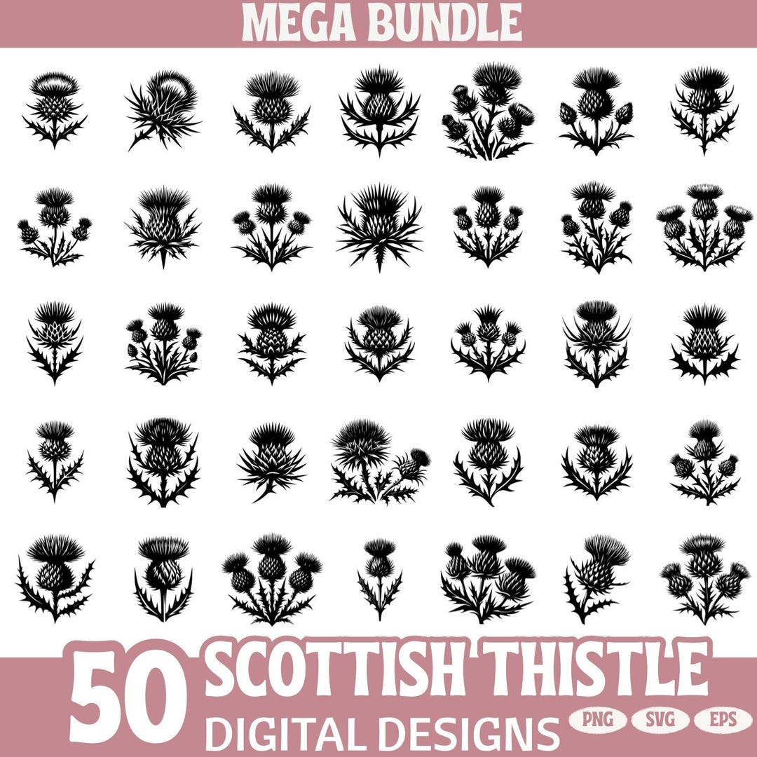 Scottish Thistle SVG Bundle PNG EPS Mega Pack | Celtic Flower Clipart ...