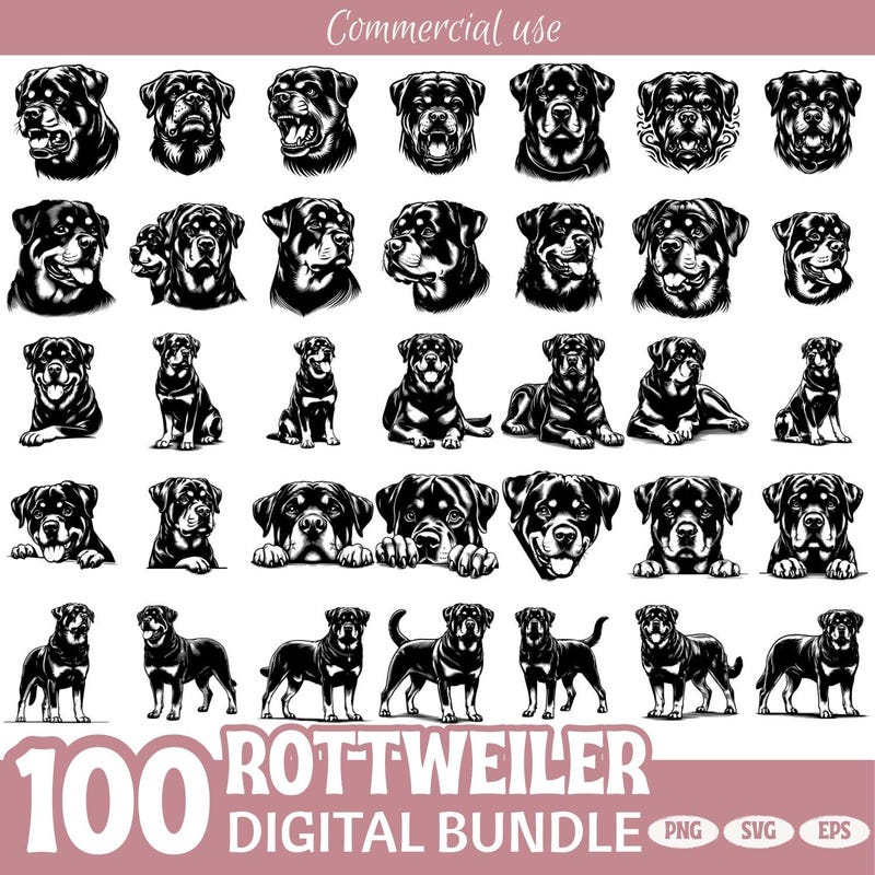 Rottweiler English - Etsy