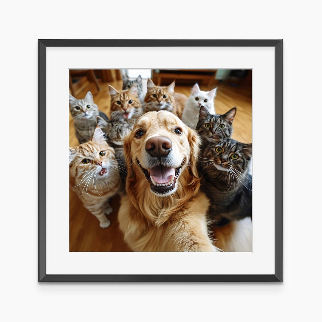 Paw Selfie, Photography Prints, Cat Wall Art, Dog Prints, Animal Poster, Funny Poster, Cat ...