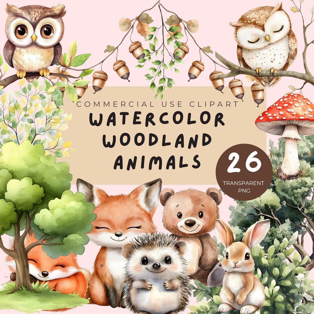 Watercolor Woodland Animals Clipart: 36 Forest Nursery Pngs (digital ...