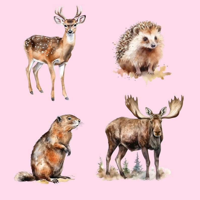 Watercolor Woodland Animals Clipart, Nursery Forest Animals ...