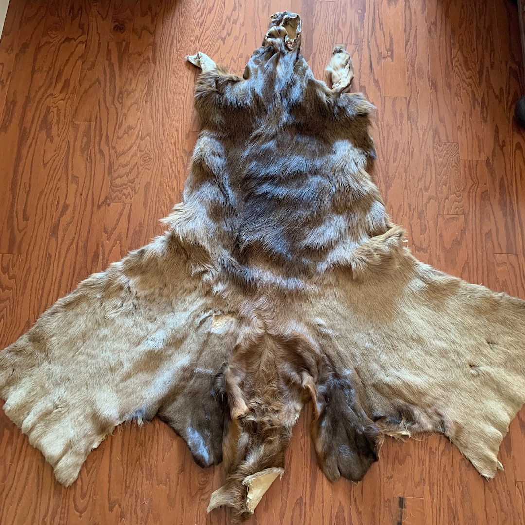 Tanned Elk Fur Hide - Real Elk, Full Body - Etsy